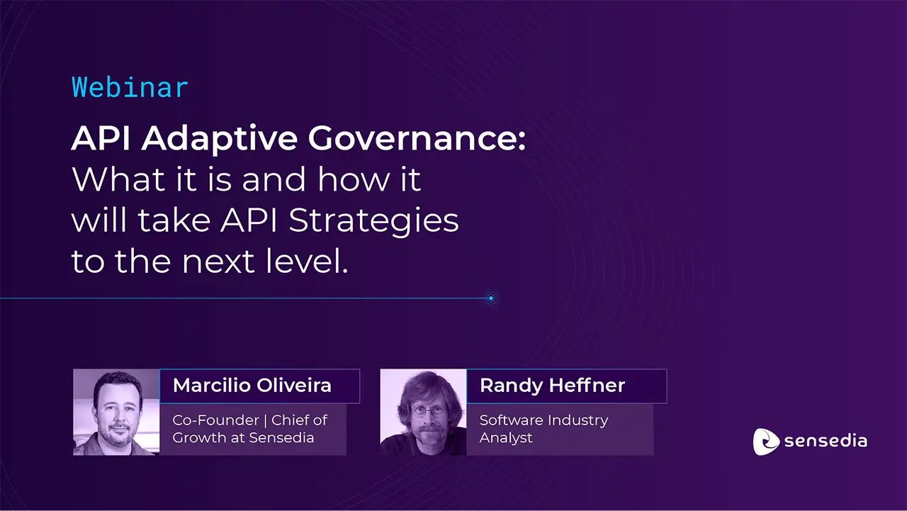 API Adaptive Governance